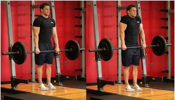 How to Do Shoulder Workouts With Dumbbells? - MyBeautyGym