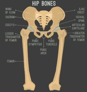 How To Crack Your Hip Safely? - MyBeautyGym