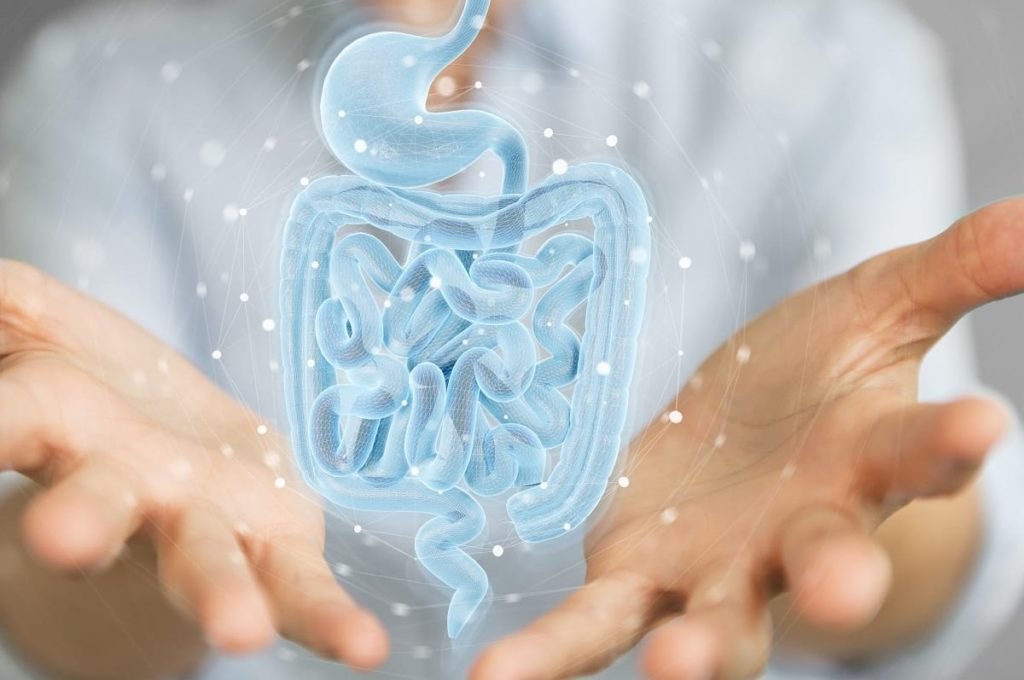 How Gut Bacteria Help Your Immune System - MyBeautyGym